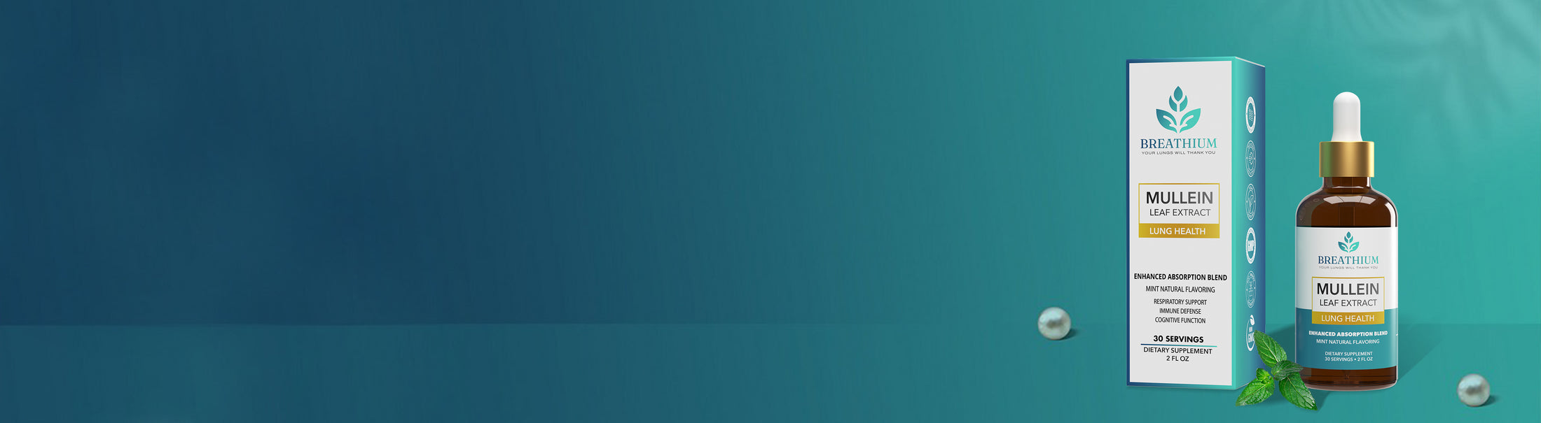 Liposomal Absorption effectivness